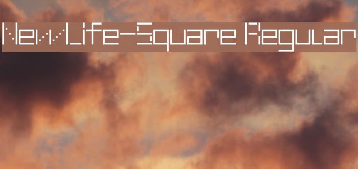 NewLife-Square Regular Font - FFonts.net