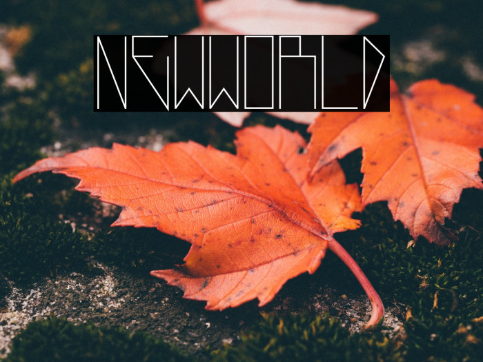 NewWorld Font - FFonts.net