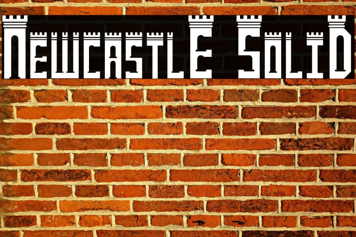 NewcastlE SoliD Font - FFonts.net