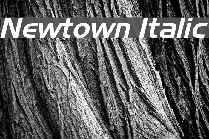Newtown Italic Font - FFonts.net