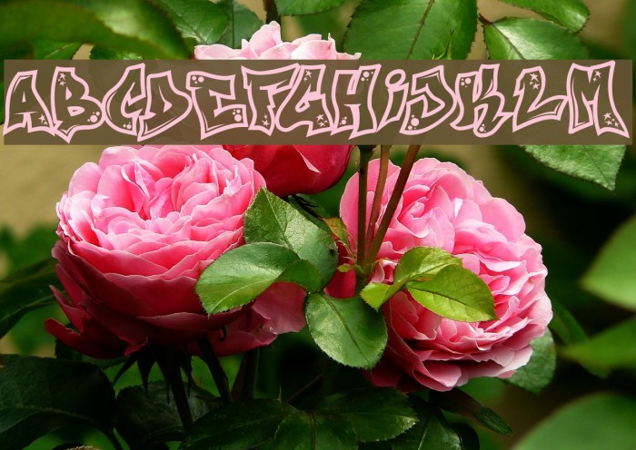 Next Custom Font - FFonts.net