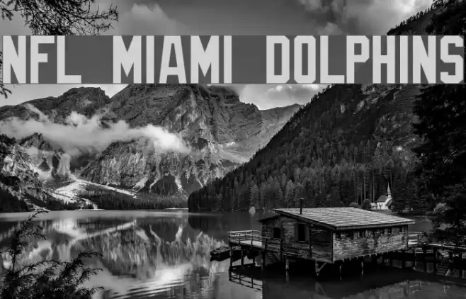NFL Miami Dolphins Font | Free Download (TTF/OTF) | FFonts.n