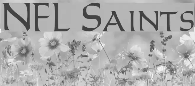 NFL Saints Font | Free Download (TTF/OTF) | FFonts.net