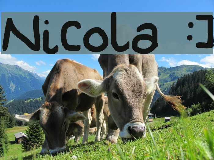 Nicola :] Font - FFonts.net