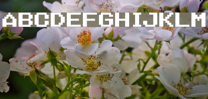 Nineteen Eighty Seven Font - FFonts.net