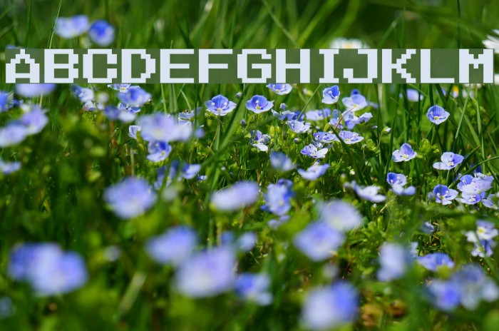 Nineteen Eighty Seven Font - FFonts.net