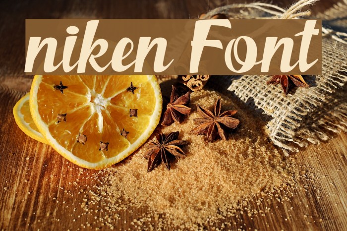 niken Font - FFonts.net