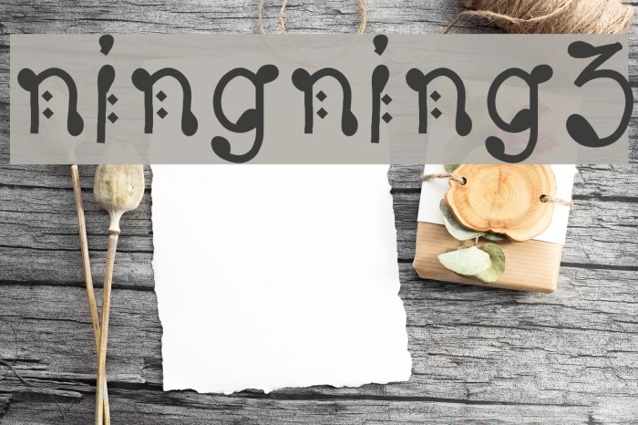 ningning3 Font - FFonts.net