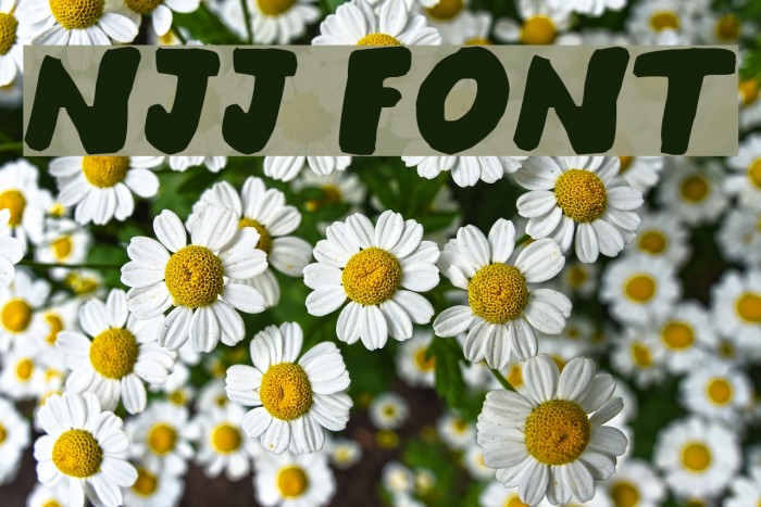 njj Fuente - FFonts.net