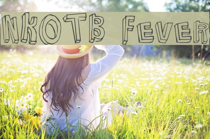 NKOTB Fever Font - FFonts.net