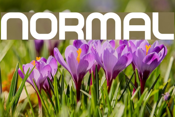 NORMAL Font - FFonts.net