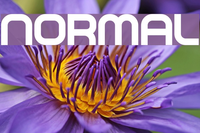 NORMAL Font - FFonts.net