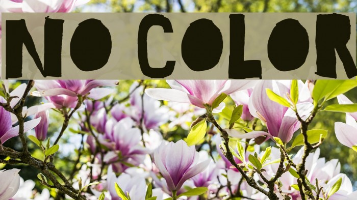 No Color Font - FFonts.net