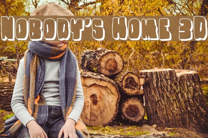 Nobody's Home 3D Font - FFonts.net