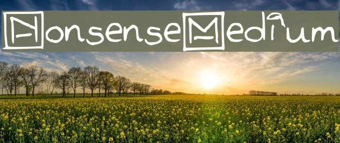 Nonsense-Medium Font - FFonts.net