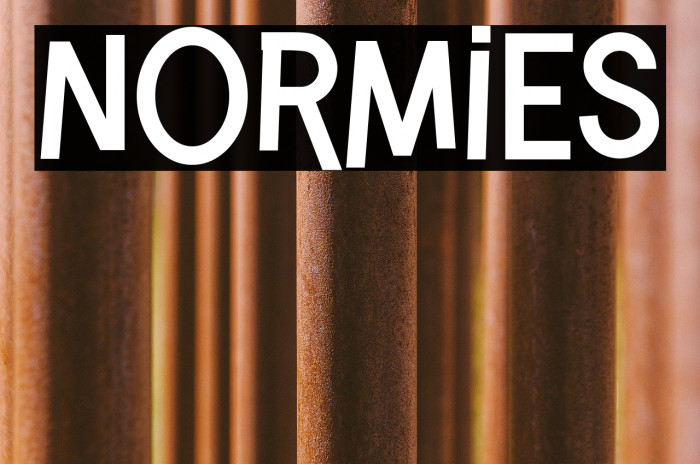 Normies Font - FFonts.net