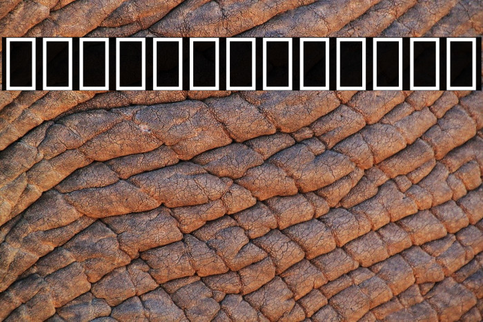 Noto Sans Lao UI Condensed Medium Font - FFonts.net