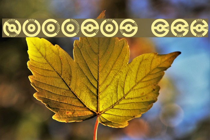 Nucleus BRK Font - FFonts.net