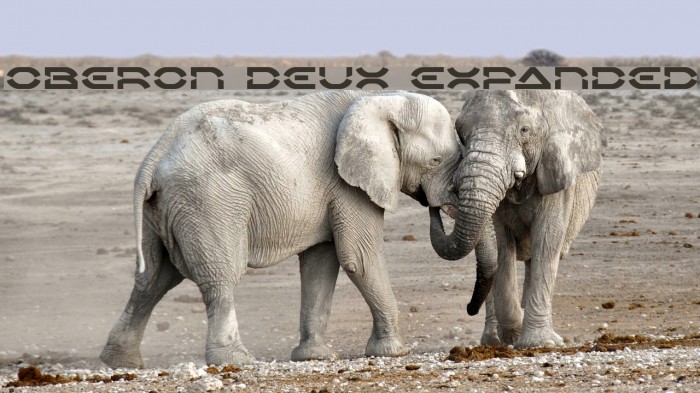 Oberon Deux Expanded Font - FFonts.net