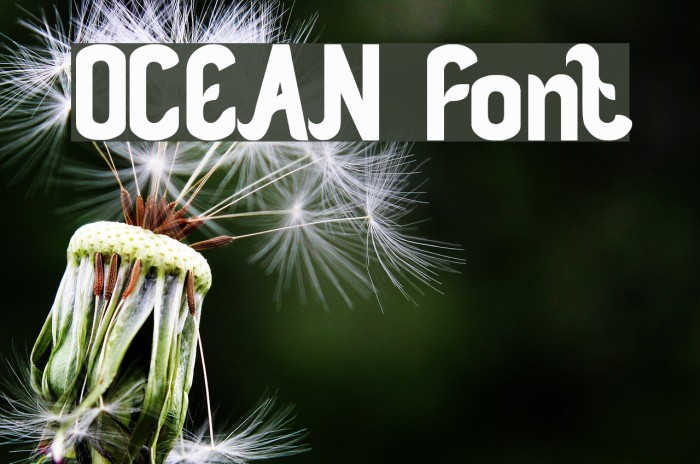 OCEAN Font - FFonts.net