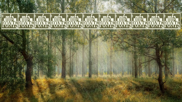 ODINS SPEAR Font - FFonts.net