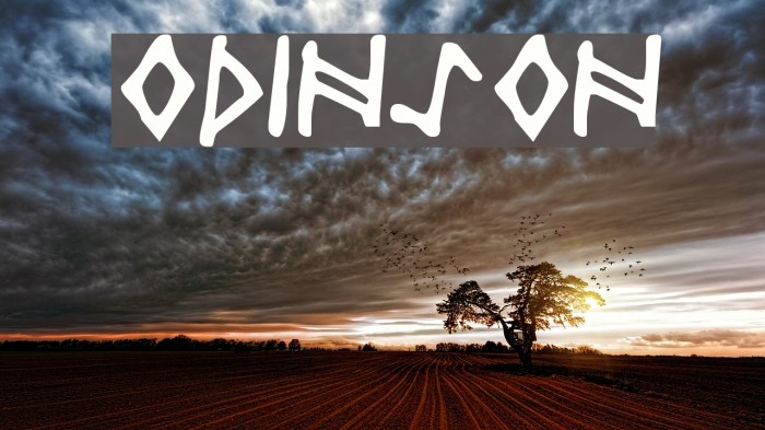 Odinson Font - FFonts.net