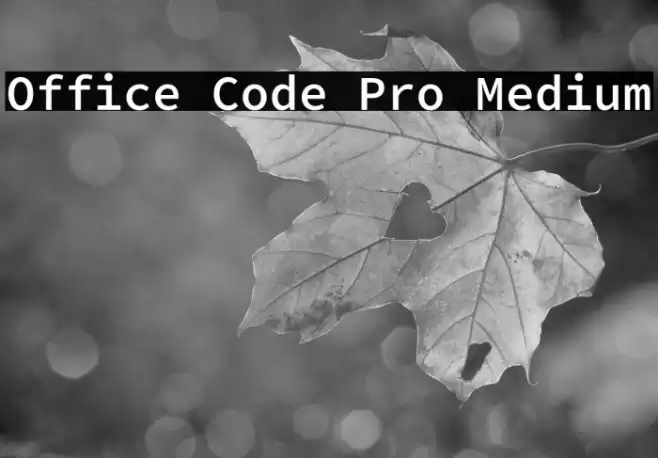 Office Code Pro Medium Font | Free Download (TTF/OTF) | FFon