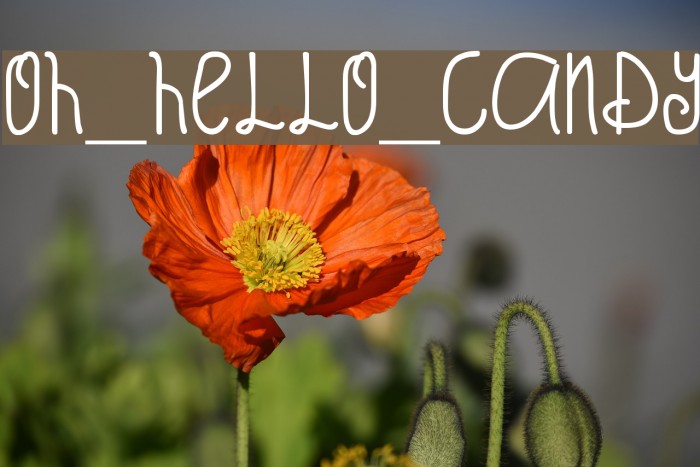 Oh_Hello_Candy Font - FFonts.net