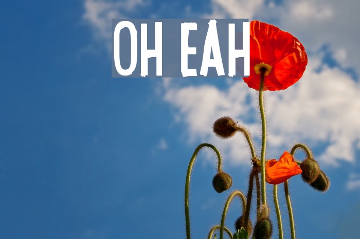 oh yeah Font - FFonts.net