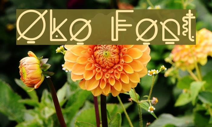 Oko Font - FFonts.net