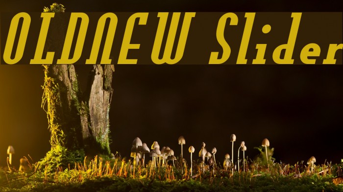 OLDNEW Slider Font - FFonts.net
