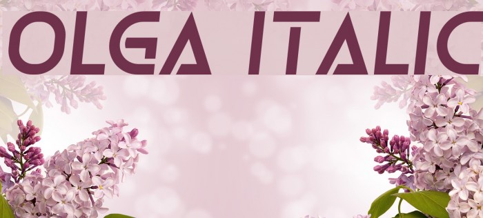 Olga Italic Font - FFonts.net