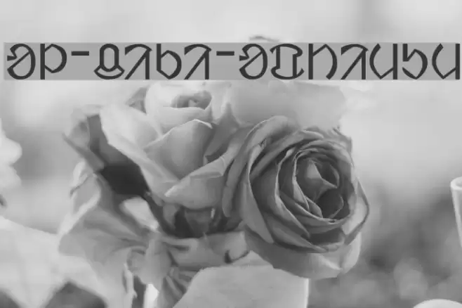 ol_ciki_optimum Font | Free Download (TTF/OTF) | FFonts.net