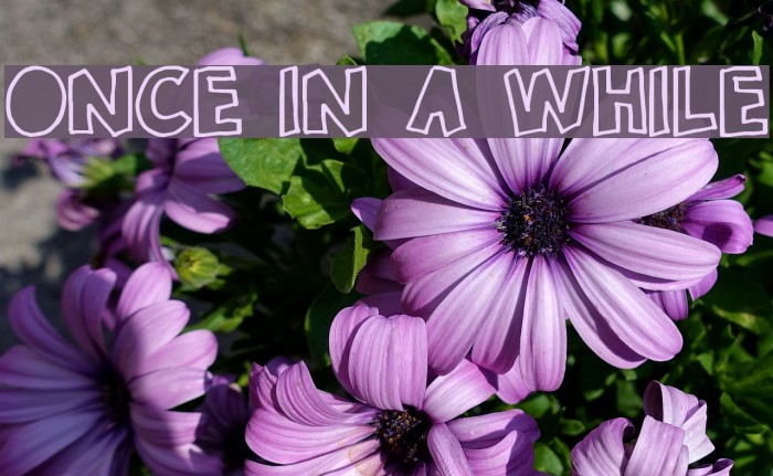 Once in a while Font - FFonts.net