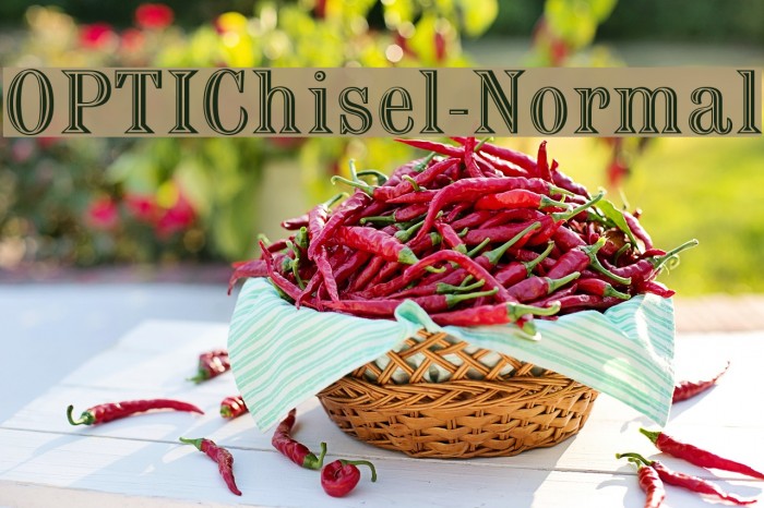 OPTIChisel-Normal Font - FFonts.net