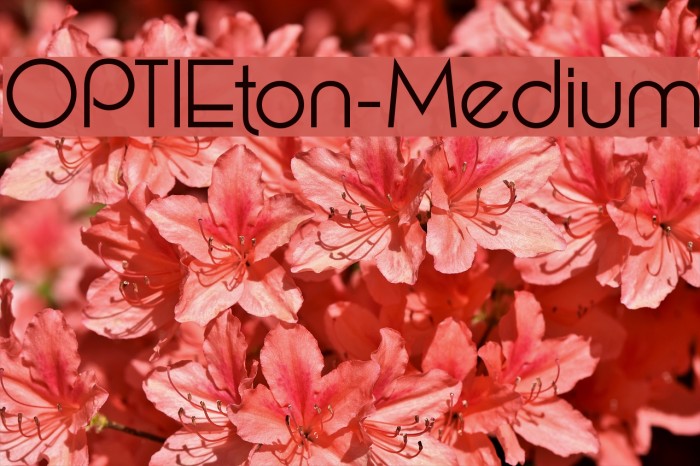 OPTIEton-Medium Font - FFonts.net
