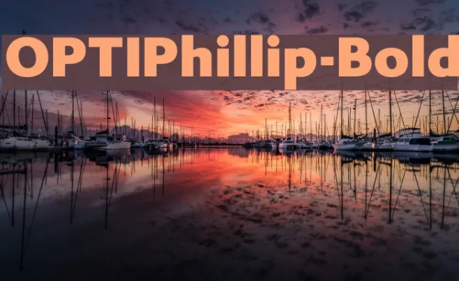 OPTIPhillip-Bold Font | Free Download (TTF/OTF) | FFonts.net