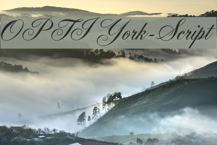 OPTIYork-Script Font - FFonts.net