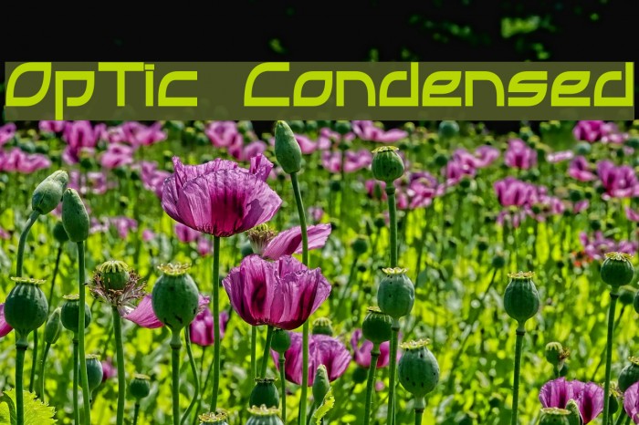 OpTic Condensed Font - FFonts.net
