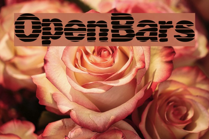 OpenBars Font - FFonts.net