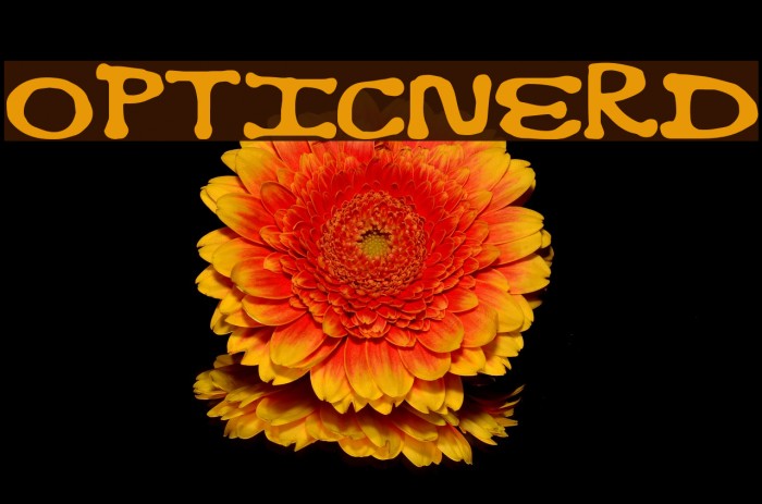 OpticNerd Font - FFonts.net