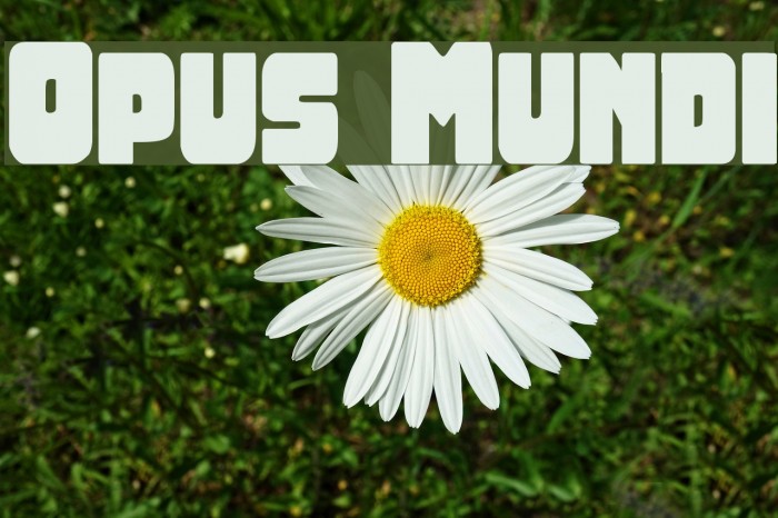 Opus Mundi Font - FFonts.net