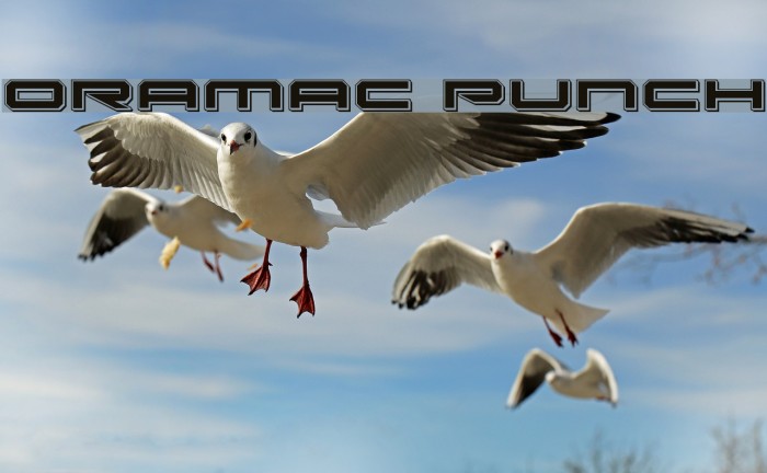 Oramac Punch Font - FFonts.net