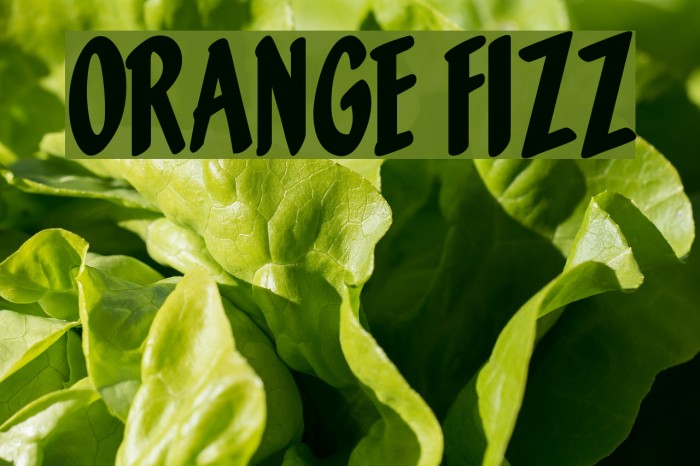 Orange Fizz Font - FFonts.net