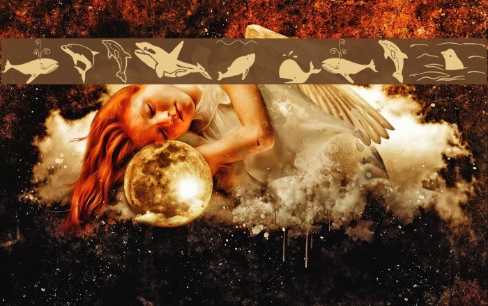 Orcas Font - FFonts.net