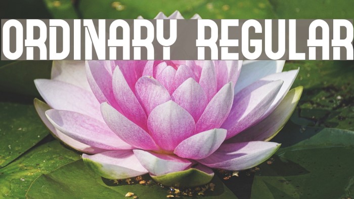 Ordinary Regular Font - FFonts.net