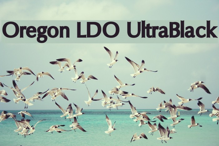 Oregon LDO UltraBlack Font - FFonts.net
