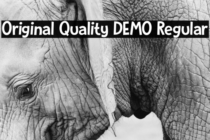 Original Quality DEMO Regular Font - FFonts.net