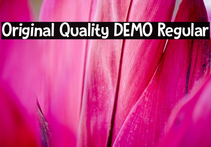 Original Quality DEMO Regular Font - FFonts.net