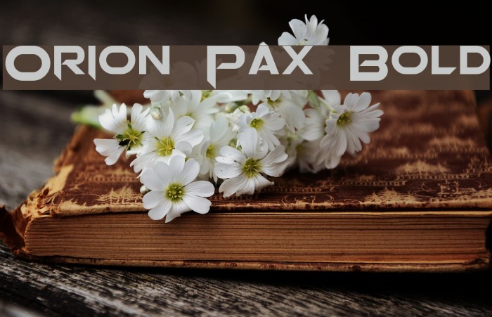 Orion Pax Bold Font - FFonts.net